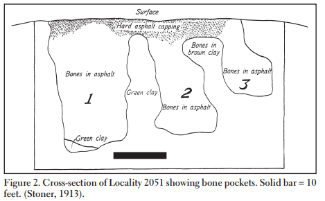 La Brea Tar Pits An Introductory History Labreafossils