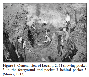 La Brea Tar Pits An Introductory History Labreafossils