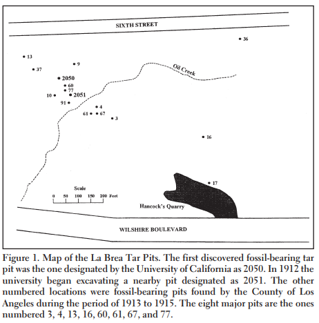 La Brea Tar Pits An Introductory History Labreafossils